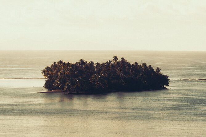 A private tour with Blue Lagoon - Who Is This Tour Best For?