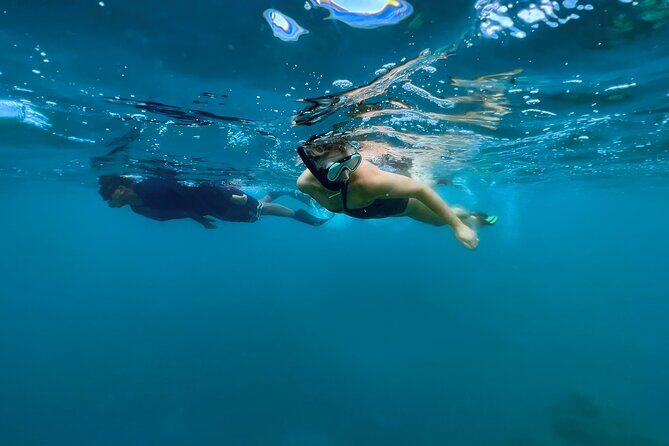 A Private TURTLE Tour on Rarotonga with Photography and Transfers - FAQ