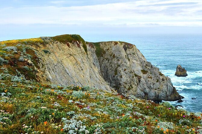 A Self-Guided Audio Tour Around Bodega Head - Key Points
