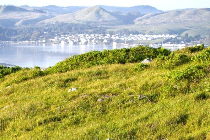 A Self-Guided Audio Tour Around Bodega Head - Frequently Asked Questions