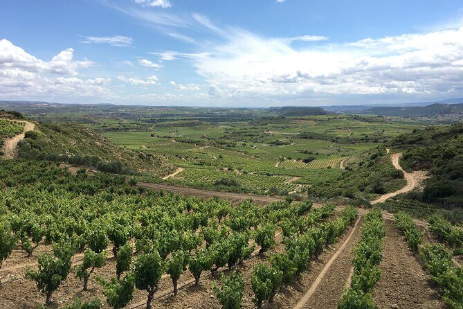 A Sip-By-Sip Tour of 3 Boutique Rioja Family Wineries (Private Tour with Lunch) - The Ultimate Breakdown: What to Expect on Each Stop