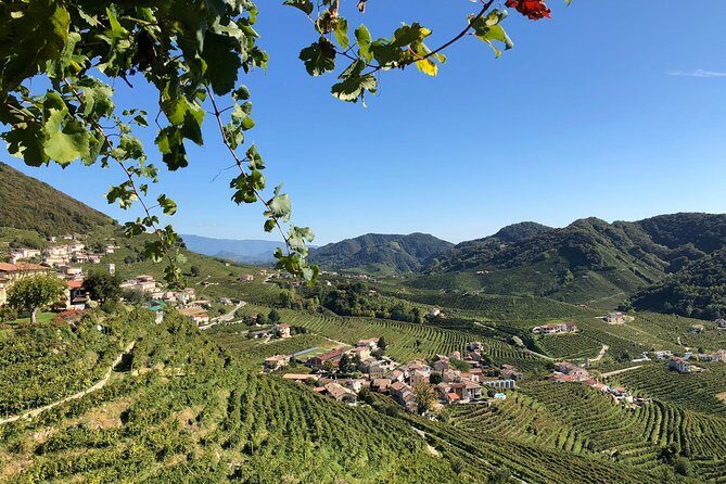 A Sparkling Day in the Prosecco Hills from Venice - Practical Considerations