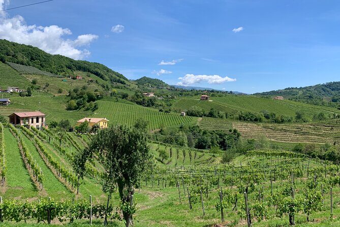 A Sparkling Day in the Prosecco Hills from Venice - Final Thoughts