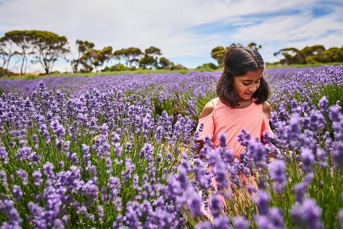 A Taste Of Kangaroo Island - Who Will Love This Tour?