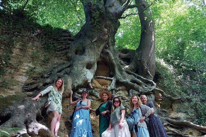 A Tour of Glastonbury, Guided by the Trees. - Explore the Itinerary in Detail