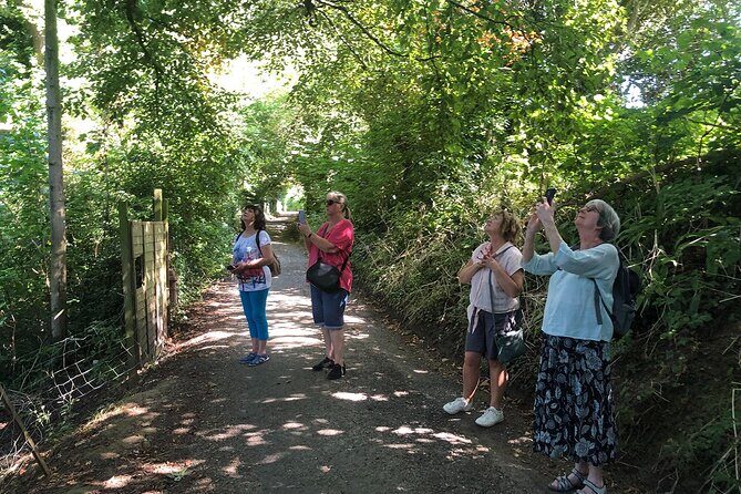A Tour of Glastonbury, Guided by the Trees. - Final Thoughts: Who Should Consider This Tour?