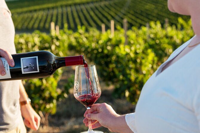 A Truly Barossan Wine Experience - High-End Private Day Tour - Key Points