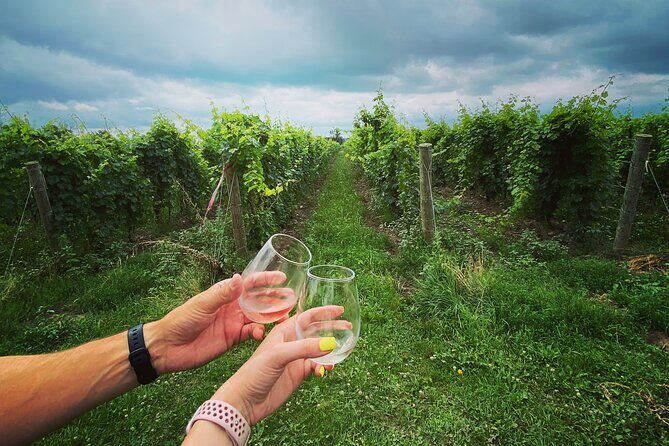 A Twilight Wine Adventure with 3-Course Dinner - The Itinerary Breakdown