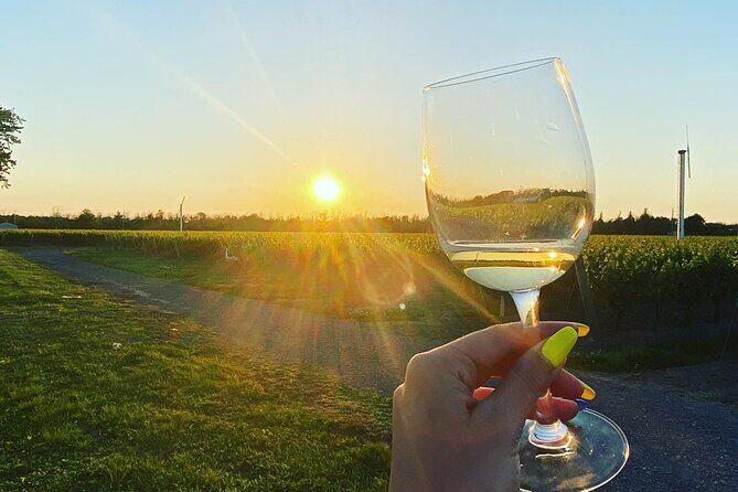 A Twilight Wine Adventure with 3-Course Dinner - Who Should Consider This Tour?