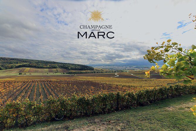 A unique sensory experience in the vineyards - FAQ