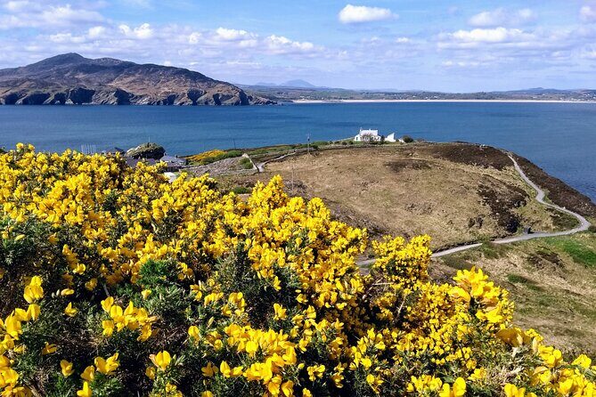 A Walk Through Time in Fort Dunree - An In-Depth Look at the Fort Dunree Experience