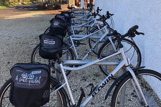 'A Wee Pedal's' Family Friendly Cycle Tour to Edinburgh's Coast - Who Should Consider This Tour?