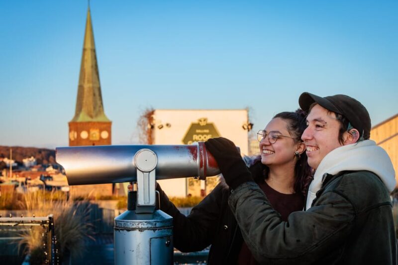 Aarhus Walking Tour: From Viking Village to Metropolis - Who Should Consider This Tour
