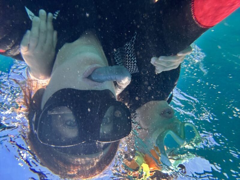 Abades: Guided Snorkeling Tour with Photos - Who Should Book This Tour?