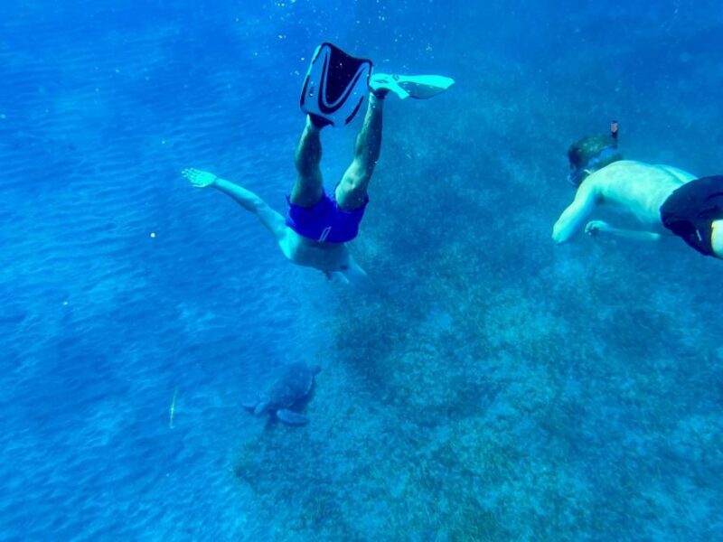 Abades: Guided Snorkeling Tour with Photos - FAQs