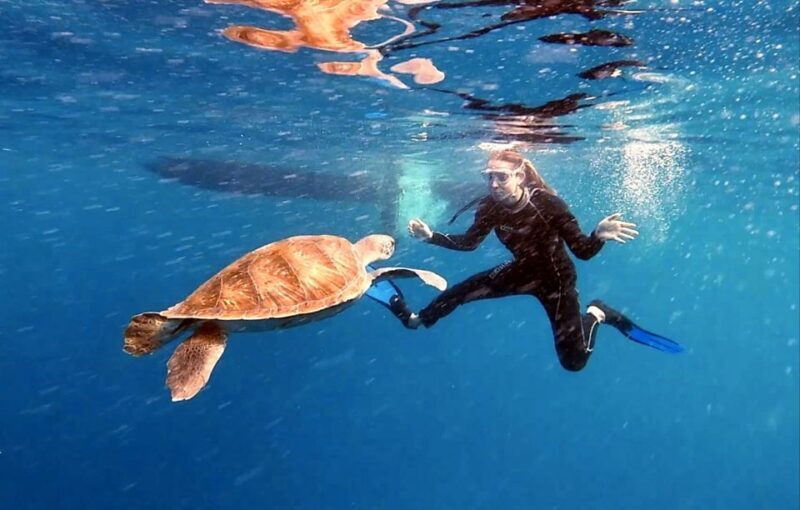 Abades: Tenerife Turtles and Rays Snorkeling Trip - An Honest Look at the Snorkeling Tour