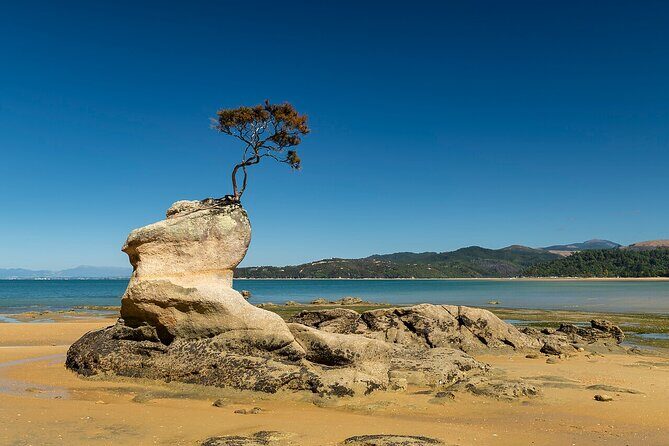 Abel Tasman Adventure Private Tour from Nelson Cruise Port - Key Points