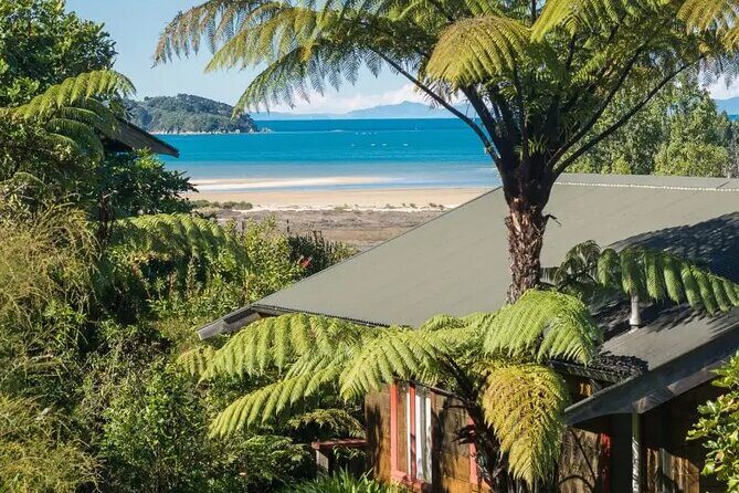 Abel Tasman Adventure Private Tour from Nelson Cruise Port - Accessibility and Practical Considerations