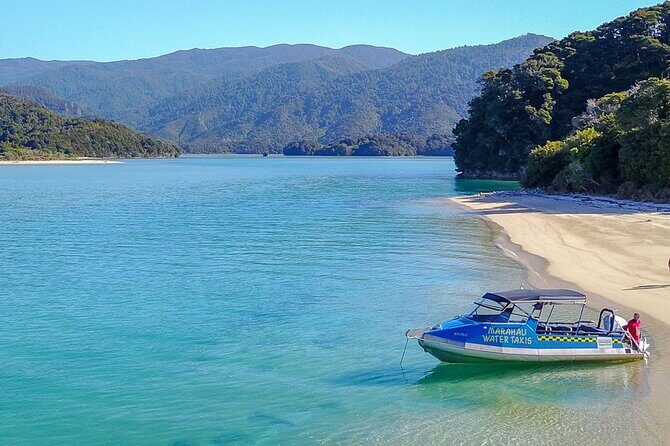 Abel Tasman Adventure Private Tour from Nelson Cruise Port - Final Thoughts: Is It Worth It?