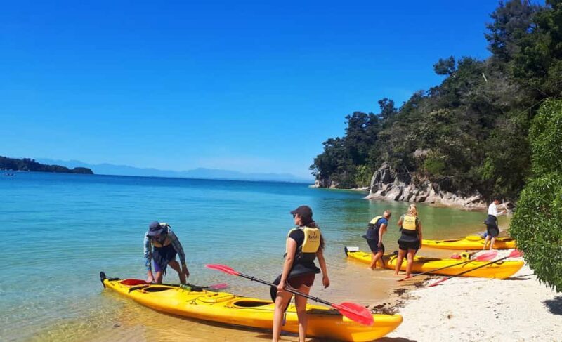 Abel Tasman Kayaks: 3 Day Kayak and Walk North - The Downside: Things to Keep in Mind