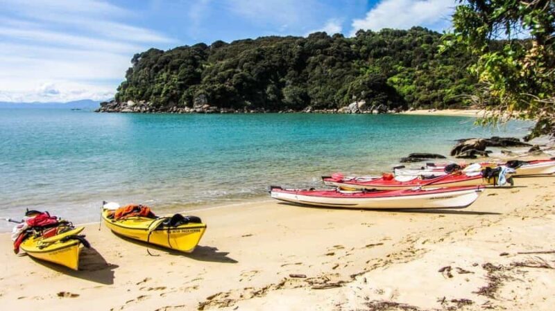 Abel Tasman Kayaks: 3 Day Kayak and Walk North - Who Is This Tour Best For?