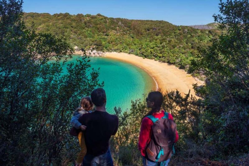 Abel Tasman National Park: Cruise and Hike Full-Day Tour - An In-Depth Look at the Tour Experience