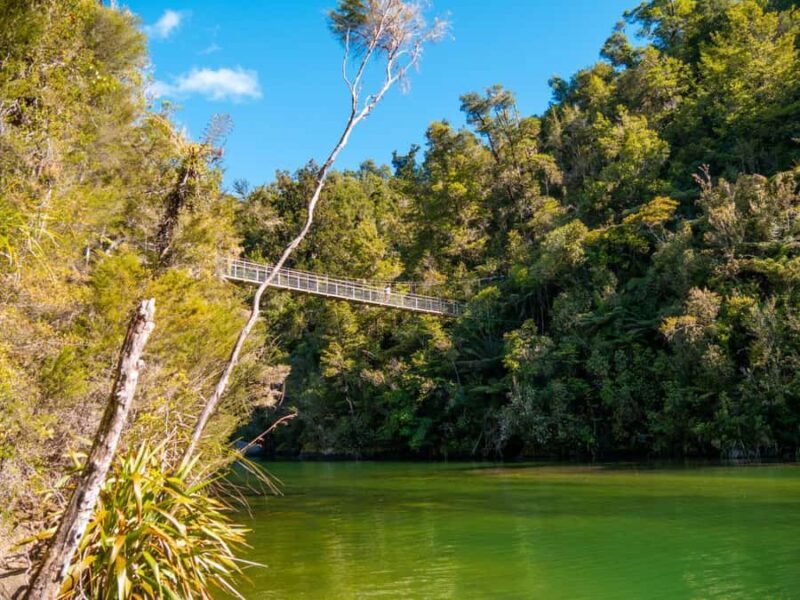 Abel Tasman National Park: Cruise and Hike Full-Day Tour - FAQ