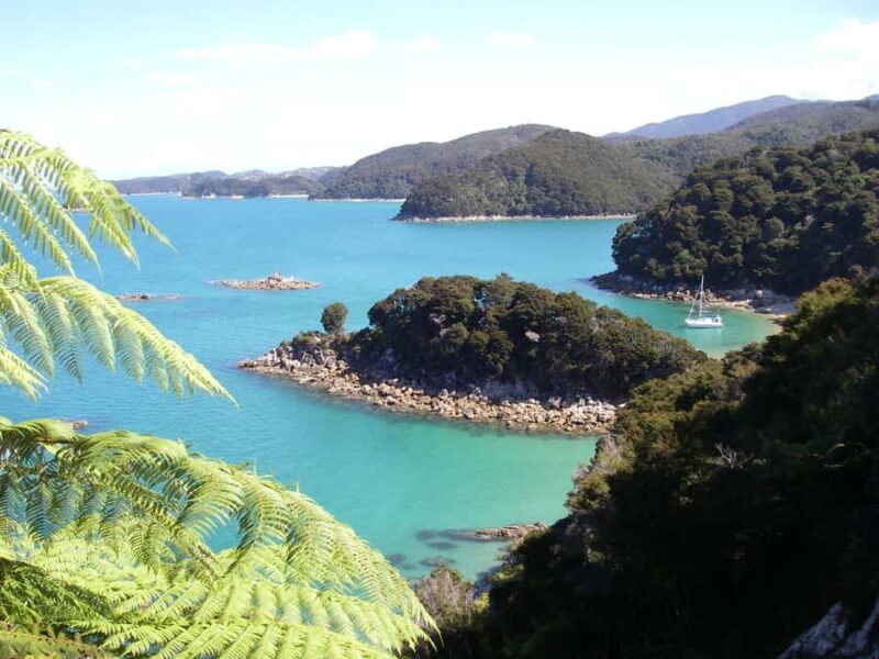 Abel Tasman National Park: Sailing and Self-Guided Walk - The Itinerary in Detail