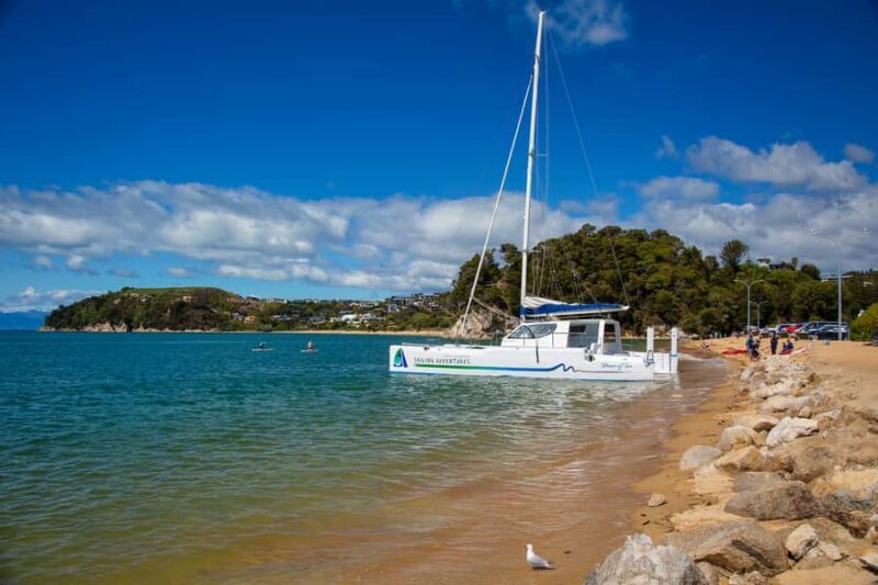 Abel Tasman National Park: Self-Guided Walk & Sailing - Final Thoughts: Is It Worth It?