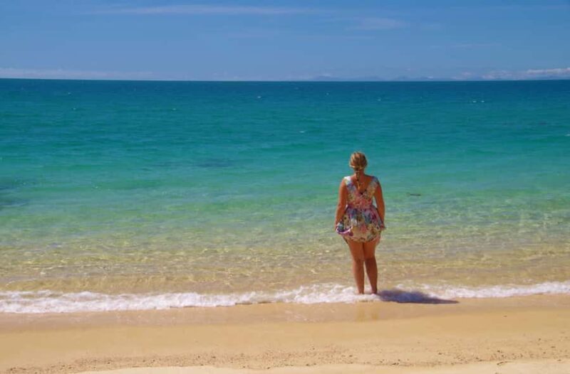 Abel Tasman: Sea Shuttle Cruise and Walking Tour Combo - The Value of This Tour