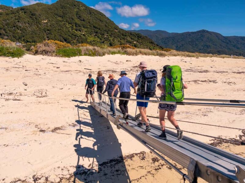 Abel Tasman: Sea Shuttle Cruise and Walking Tour Combo - Who Is This Tour Best Suited For?