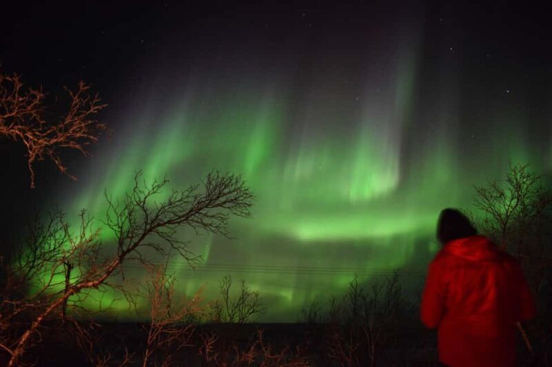 Abisko Arctic Ecology and Northern Lights Tour - Exploring the Experience in Detail