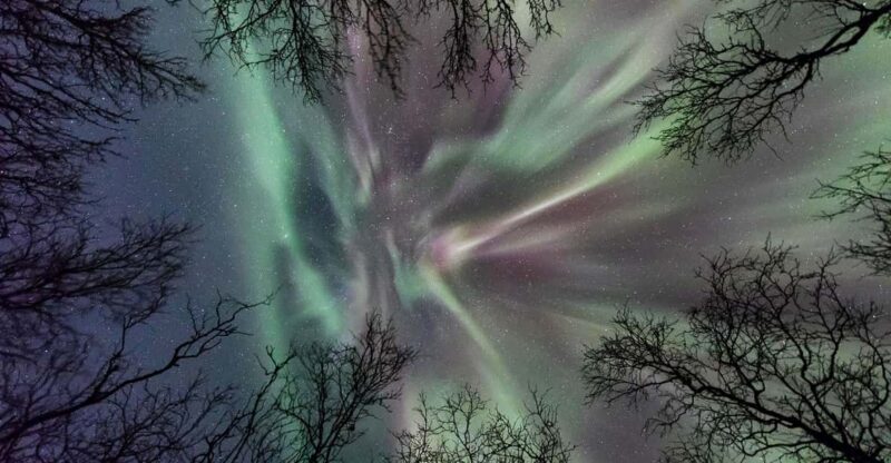 Abisko: Guided Autumn Aurora Chase with Hotel Transfers - Transportation and Timing: Practical Details
