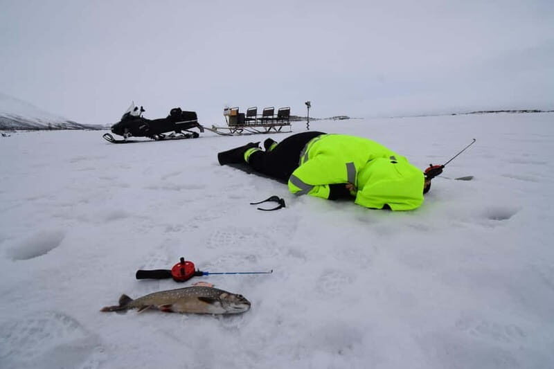 Abisko: Ice Fishing Experience - An In-Depth Look at the Abisko Ice Fishing Experience