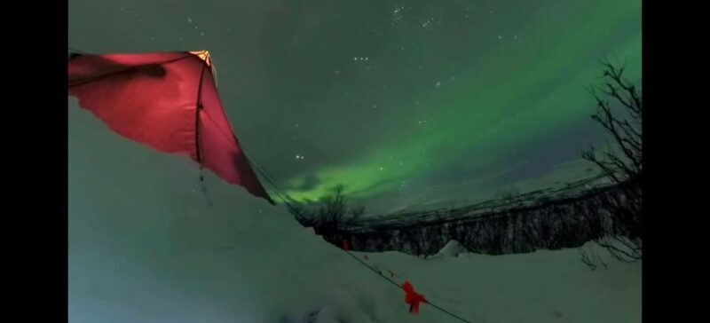 Abisko: Northern Lights Hike with Husky Puppies - Key Points