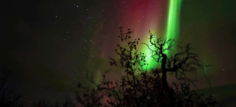 Abisko: Northern Lights Hike with Husky Puppies - Who Will Love This Tour?