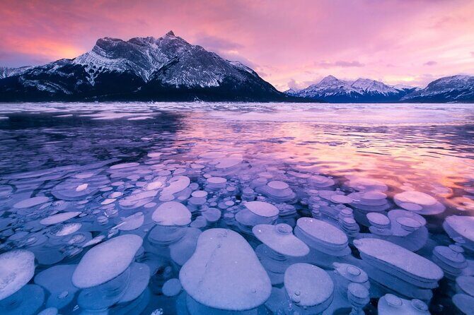 Abraham Lake (Ice bubble lake) Peyto Bow Lake Crowfoot Glacier - Key Points  