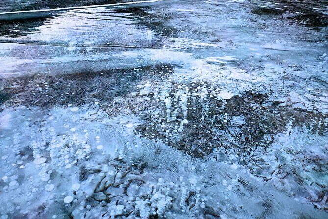 Abraham Lake (Ice bubble lake) Peyto Bow Lake Crowfoot Glacier - Authentic Experiences from Reviewers  