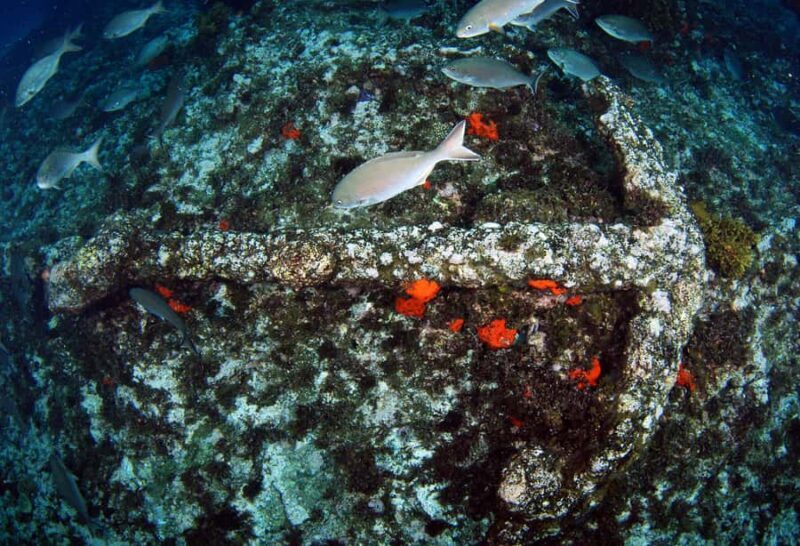 Abrolhos Islands 5 Day Cruise & Fly from Geraldton - Who Should Book This Tour?