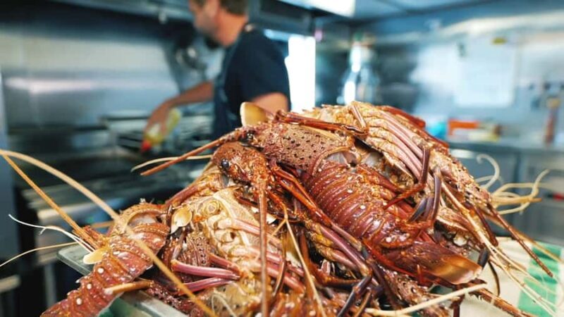 Abrolhos Islands 5 Day Cruise & Fly from Geraldton - The Sum Up