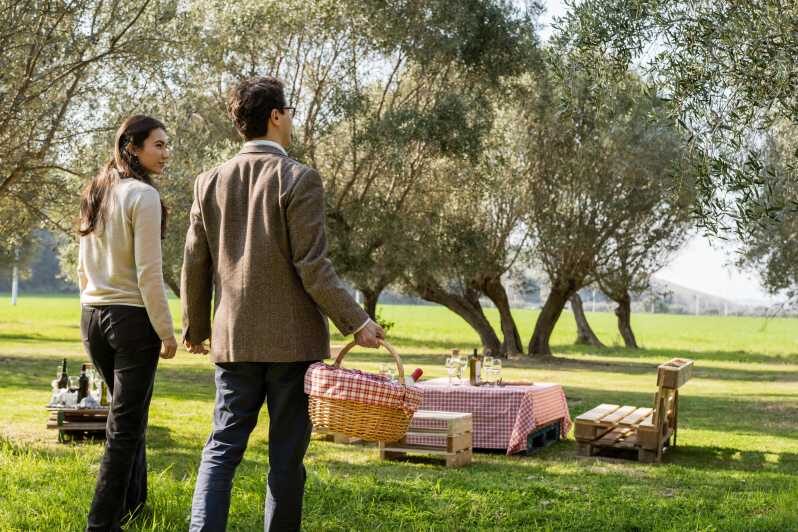 Abruzzo: Country Picnic in an Olive Grove at a Winery - An In-Depth Look at the Experience