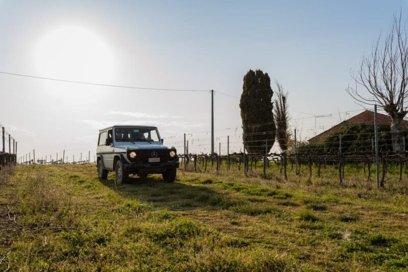 Abruzzo: Vineyard Jeep Tour with Tastings - Key Points