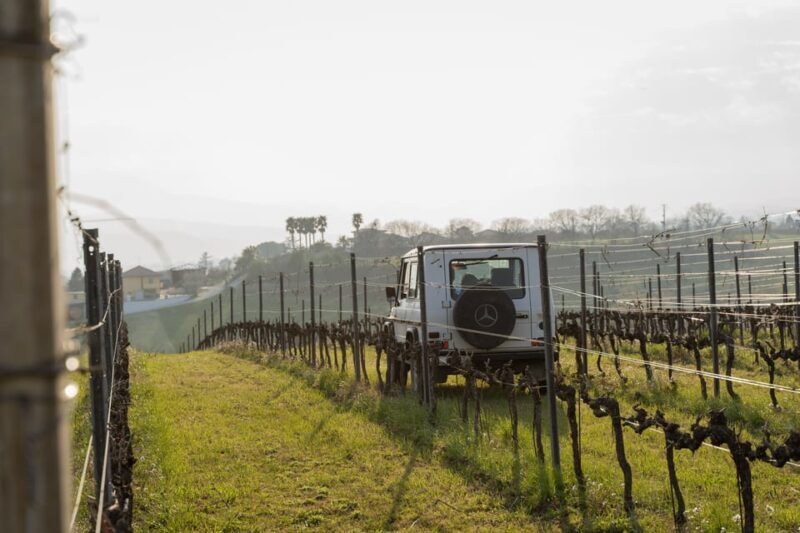 Abruzzo: Vineyard Jeep Tour with Tastings - Practical Details and Experience Quality