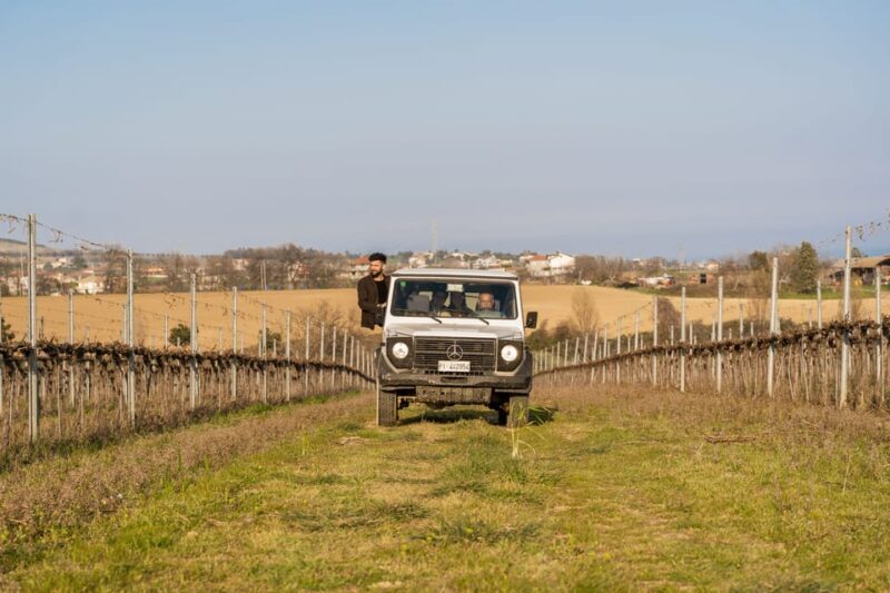 Abruzzo: Vineyard Jeep Tour with Tastings - Considerations Before Booking