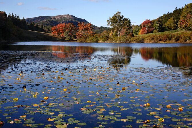 Acadia Mount Desert Island Self-Guided Driving Audio Tour - Echo Lake & Little Long Pond