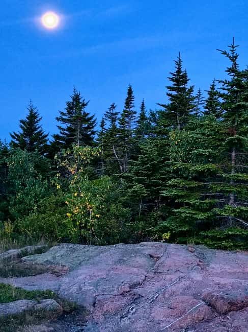 Acadia National Park: Cadillac Summit Sunrise Driving Tour - Guides and Service Quality