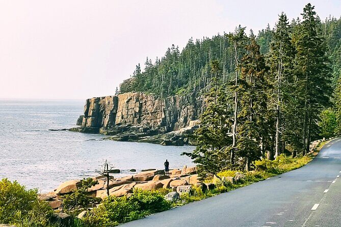 Acadia National Park Tour Sea to Summit - Discovering the Acadia Experience: A Detailed Breakdown