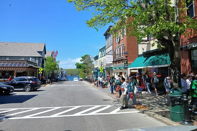 Acadia Woody's Cadillac Loop 3 Hour Driving Tour - Who Will Appreciate This Tour?