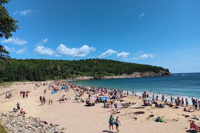 Acadia Woody's Utmost Coast 3 Hour Driving Tour - Key Points