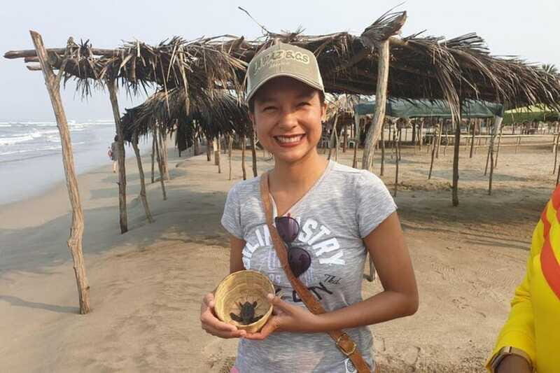 -Acapulco: 6hr City Tour & Turtle Release & High Diver Show - Practical Details and Tips